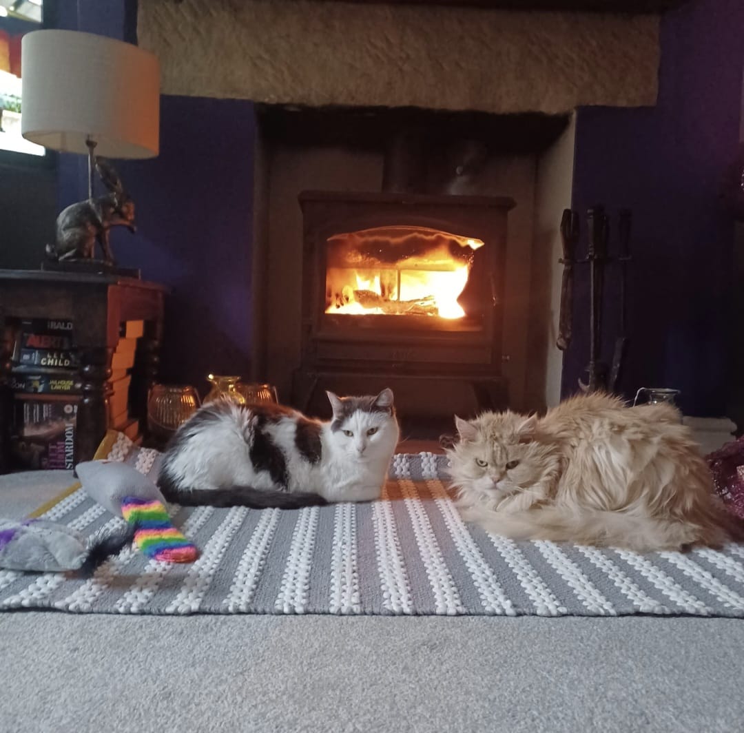 Chapel House Hounds – Dog Sitting, Walking, Boarding & Grooming In Barnsley